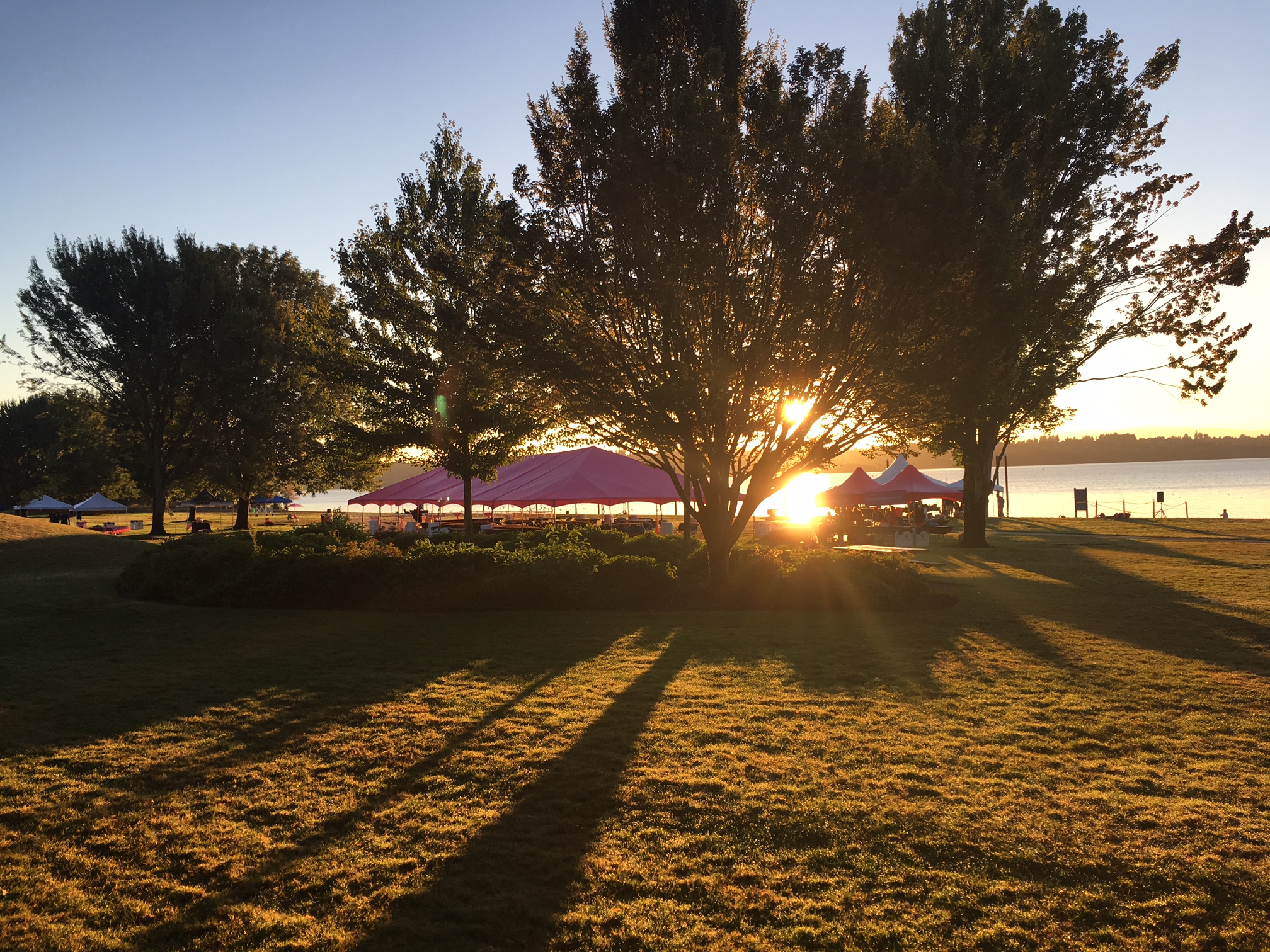 Row for the Cure Review, race fees – Station L Rowing Club